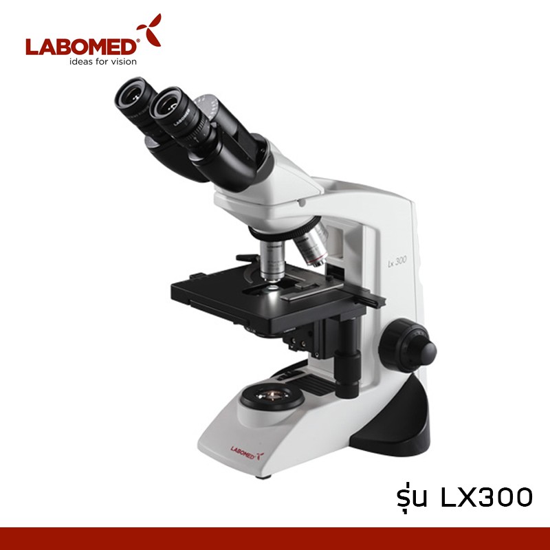 กล้องจุลทรรศน์สองตา