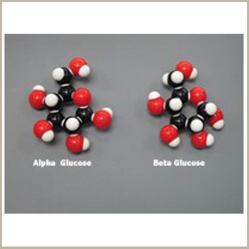Molecular Models