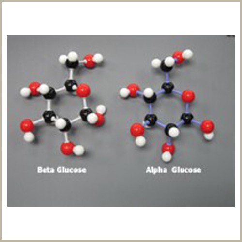 Molecular Models