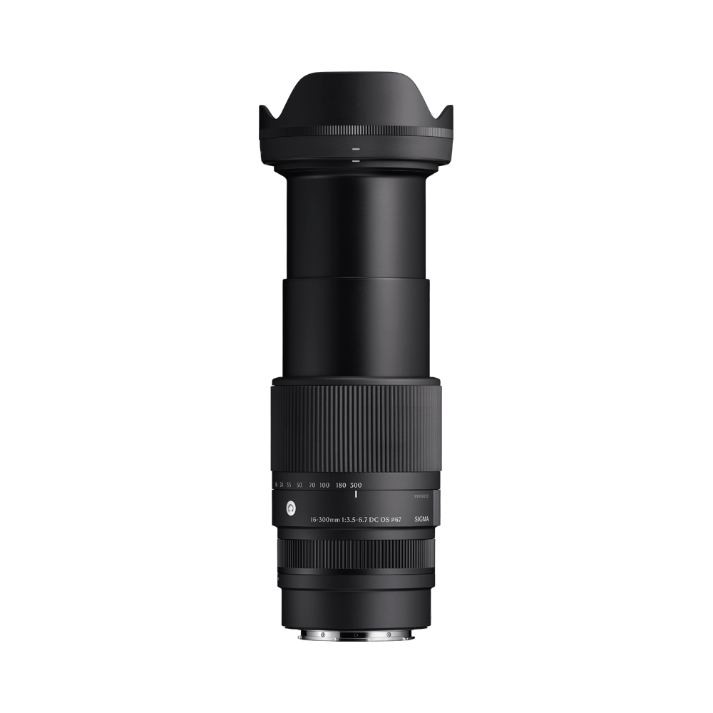 Sigma 300-600mm F4 DG OS | Sports