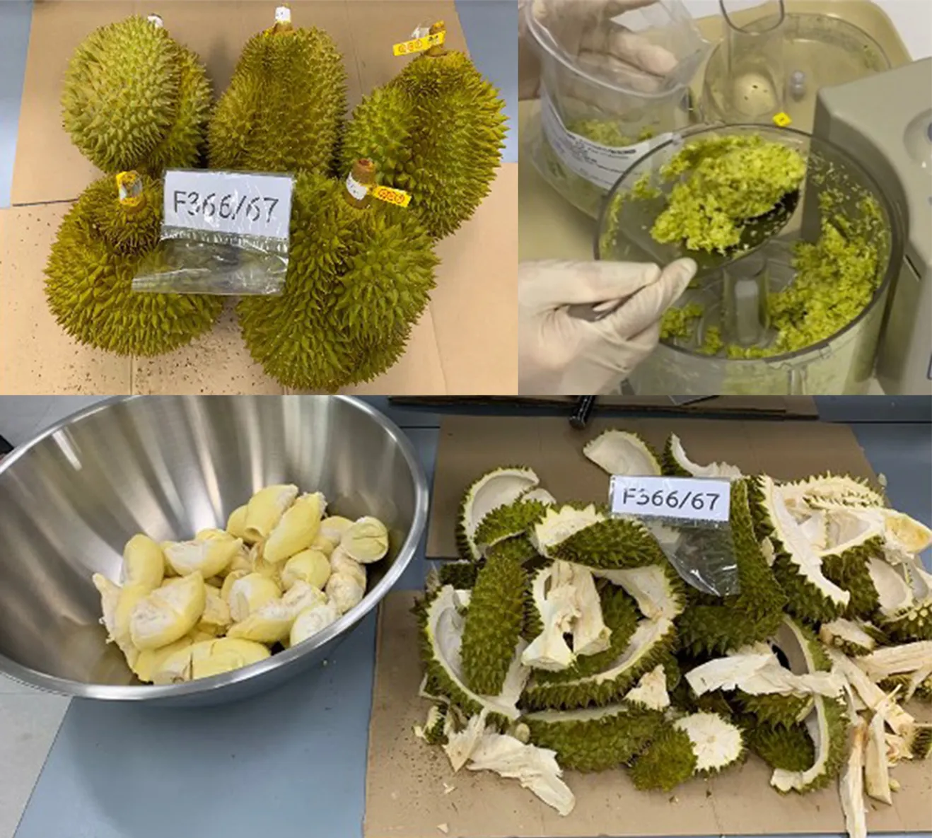 ไทยมี Lab ตรวจ BY2 เพิ่มรวม 8 Lab เพียงพอรองรับทุเรียน ภาคตะวันออก ปี 68