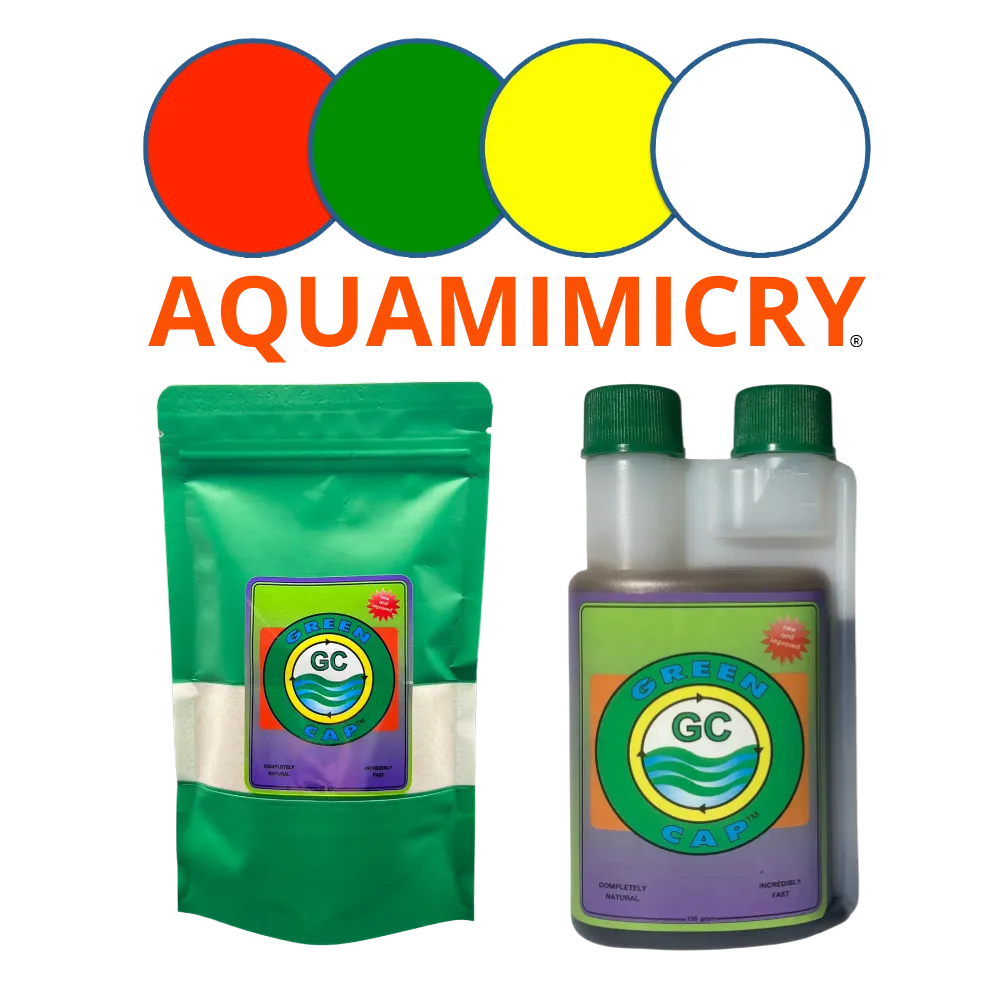 Aquamimicry Green Cap water treatment in shrimp hatchery