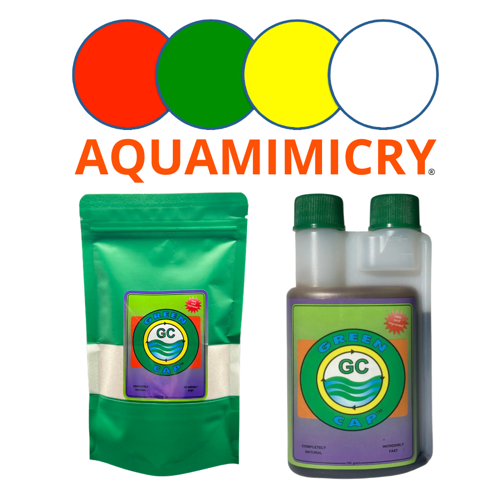 Ammonia spike in shrimp farming can be deadly problem for shrimp farming