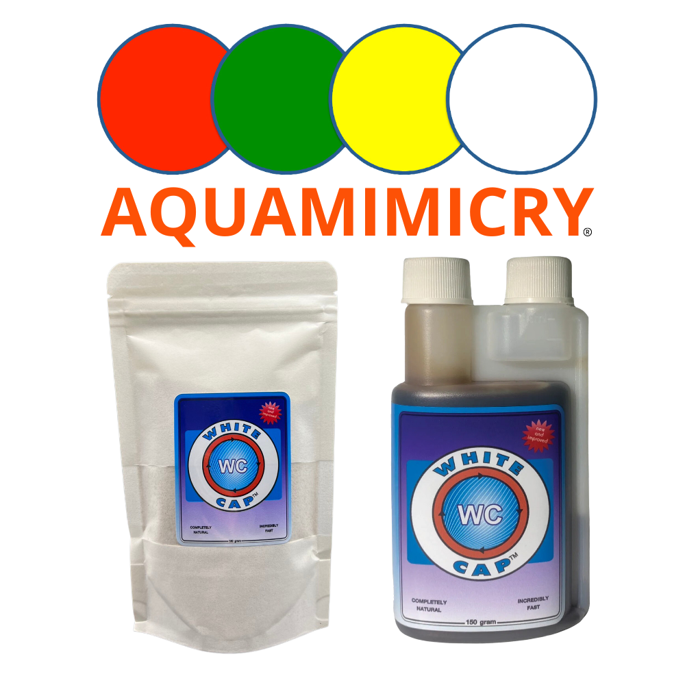 Biofilm Formation in Fish Farming - Bioshrimp’s Probiotic Solutions for ...