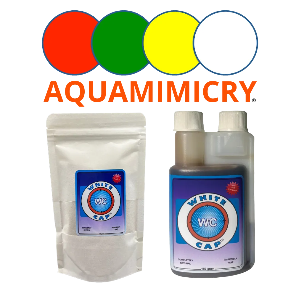 Biofilm Formation in Fish Farming - Bioshrimp’s Probiotic Solutions for ...