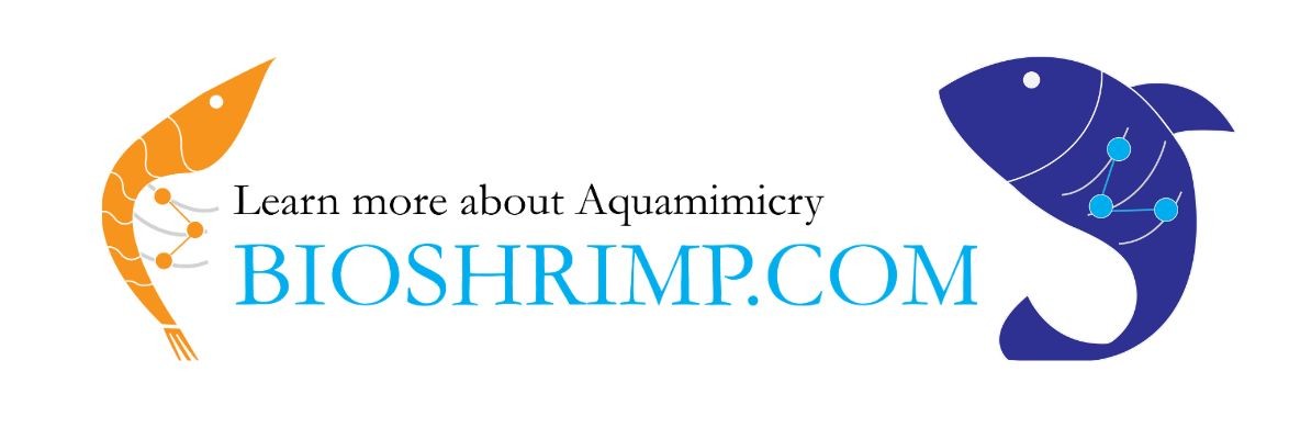 Aquamimicry Organic Shrimp and Fish Farming | Advanced Biotechnology by ...