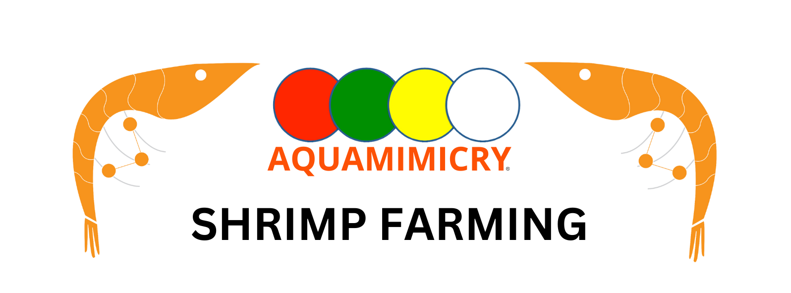 Ammonia spike in shrimp farming can be deadly problem for shrimp farming