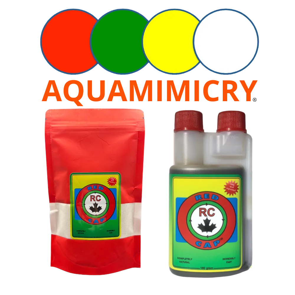 Fermented rice bran with Aquamicmiry Red Cap Aquamimicry BioShrimp’s ...