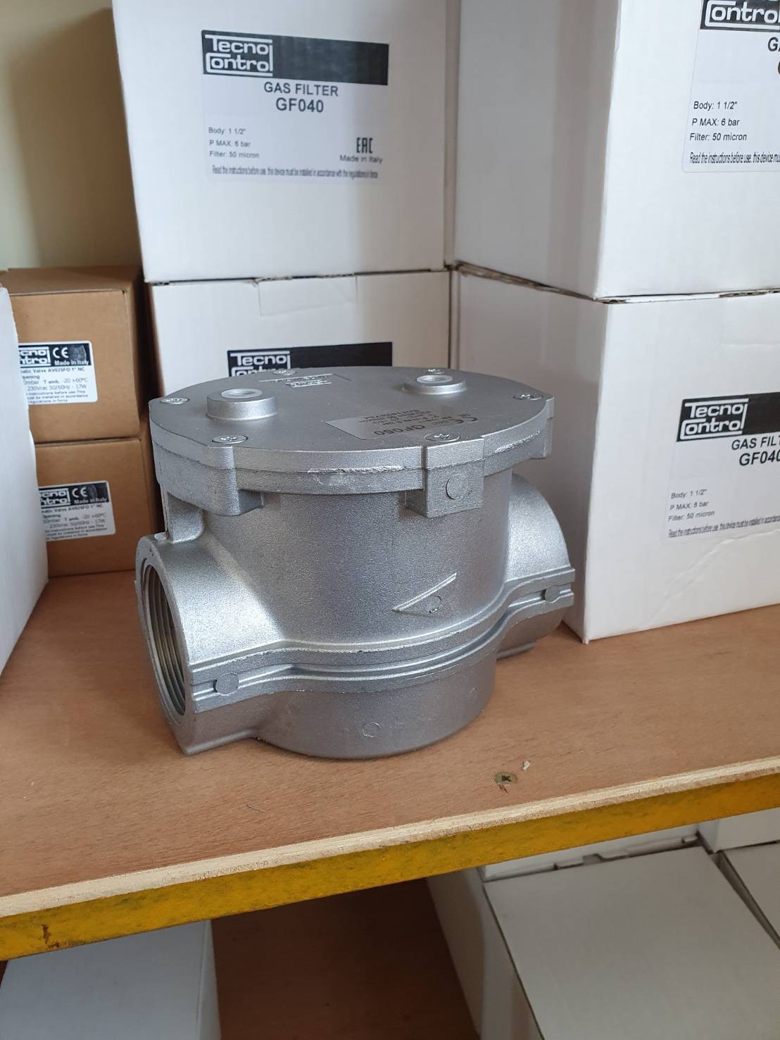 GF50 gas Filter DN50 Tecnocontrol