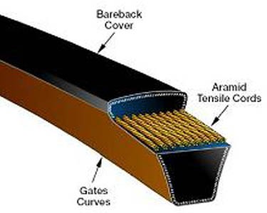 Predator® Single Belts