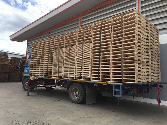 หน้าแรก