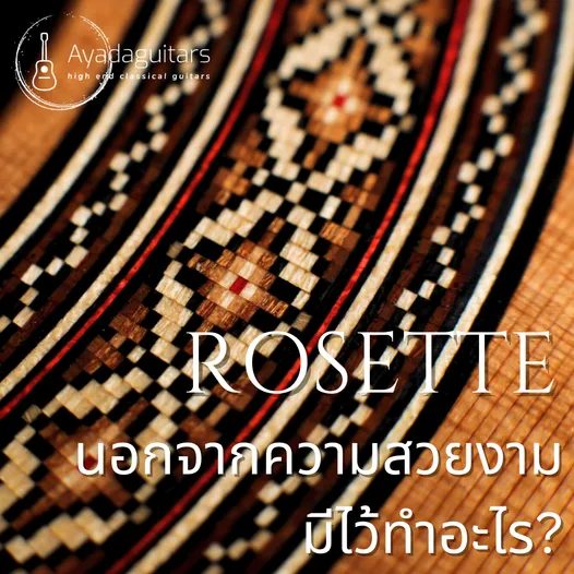 Rosette นอกจากความสวยงาม มีไว้ทำอะไร