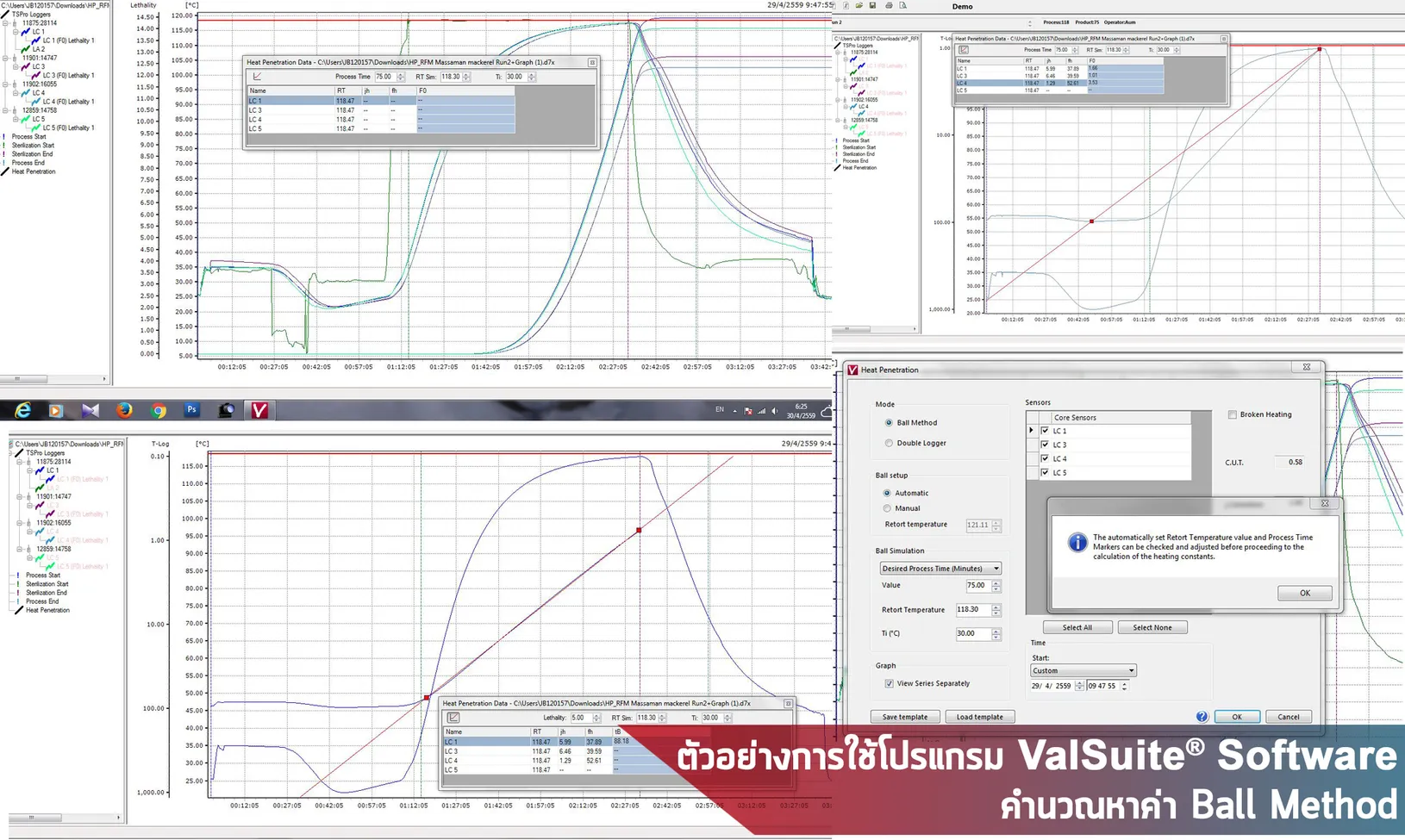 Pamalyne Marketing | ValSuite Software