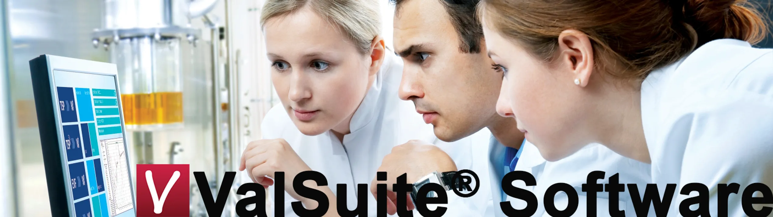 Pamalyne Marketing | ValSuite Software