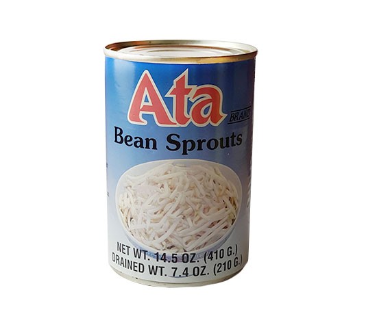 Bean sprouts
