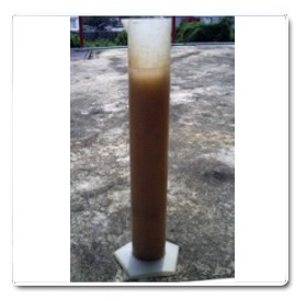 ACTIVATED SLUDGE (AS)