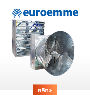 หน้าแรก