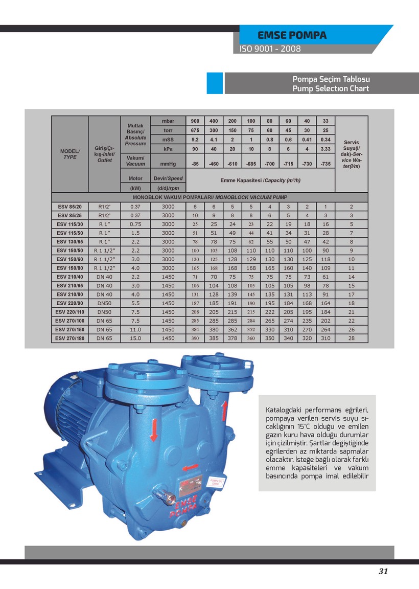 Single-Stage Liquid Ring Vacuum Pump (Monobloc)