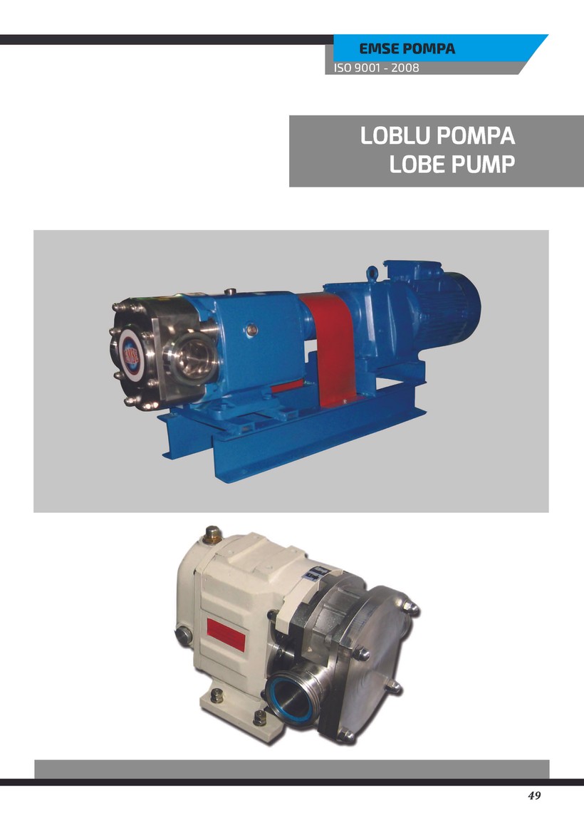 Lobe Pump