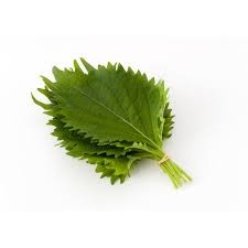 ใบโอบะ(10ใบ) Oba Leaf