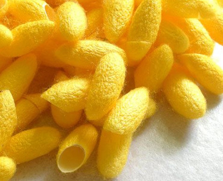 สารสกัดรังไหม, สารสกัดรังไหม (Sericin Extract), Sericin Extract, รักษา ...