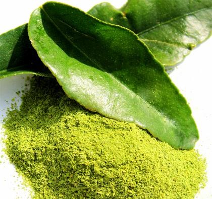 ผิวมะกรูดผง, รต่อต้านอนุมูลอิสระ, Mauritius papeda, Citrus x hystrix L ...