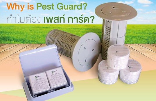 Why Pest Guard
