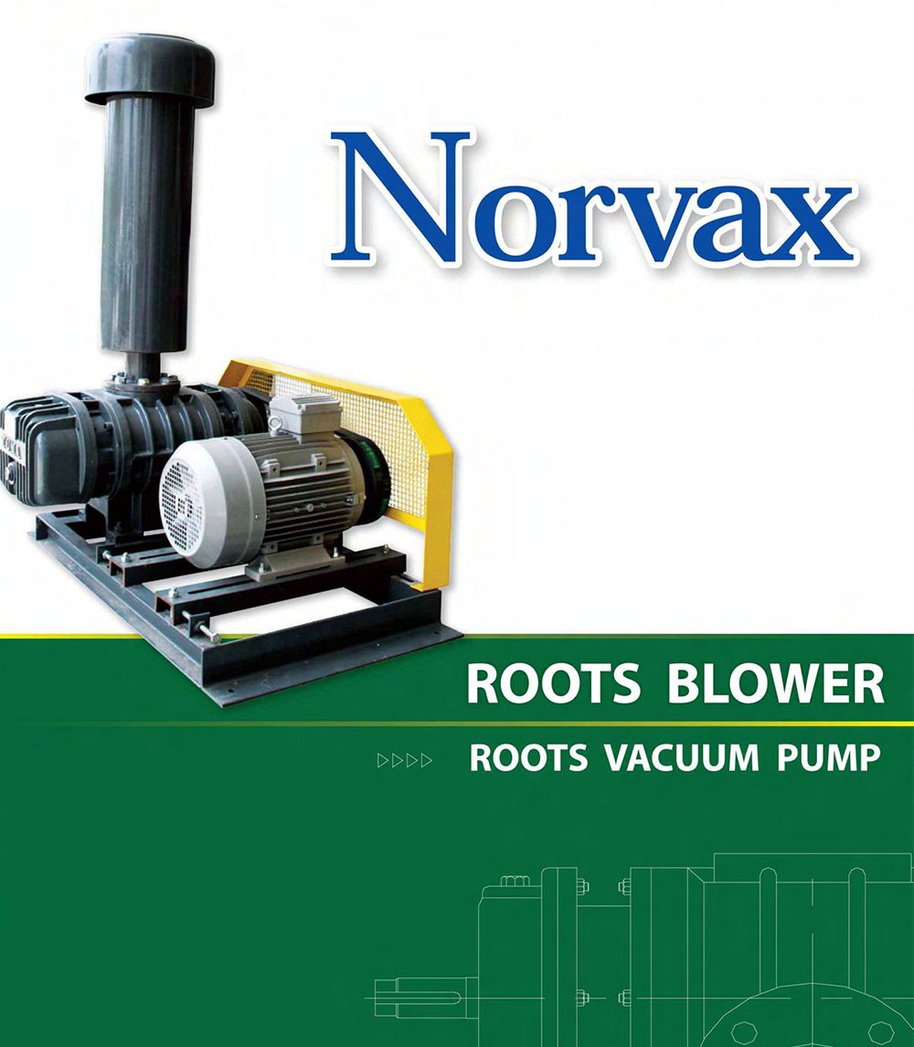 Ring-Root Blower