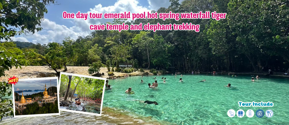 One day tour emerald pool hot spring tiger cave temple and elephant ...