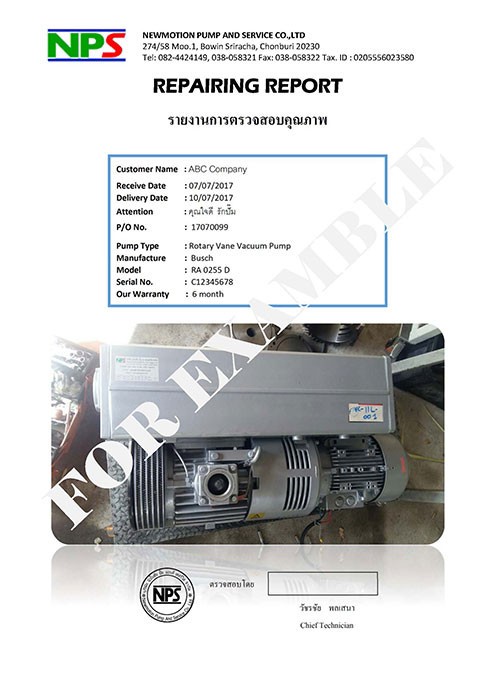 Repair/Overhaul Pump