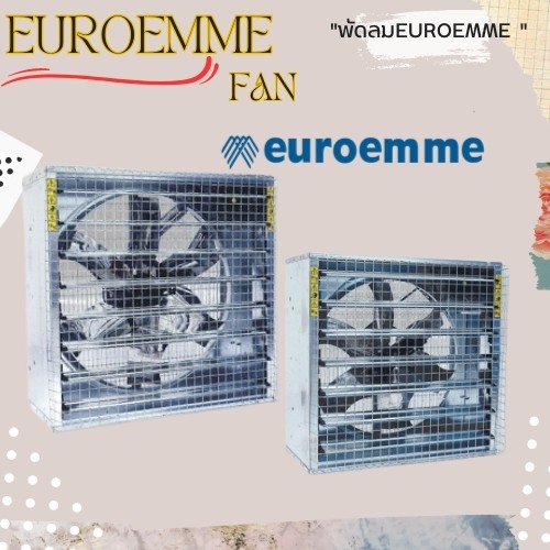 หน้าแรก