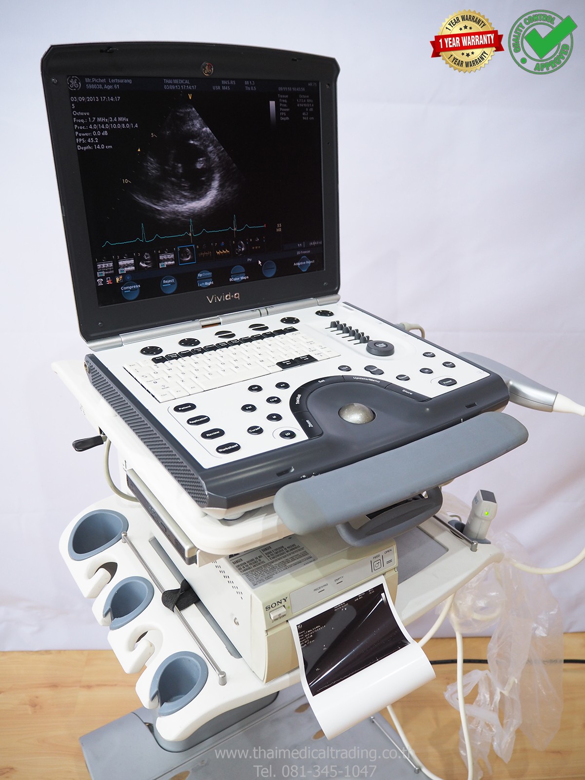 Ultrasound GE Vivid Q