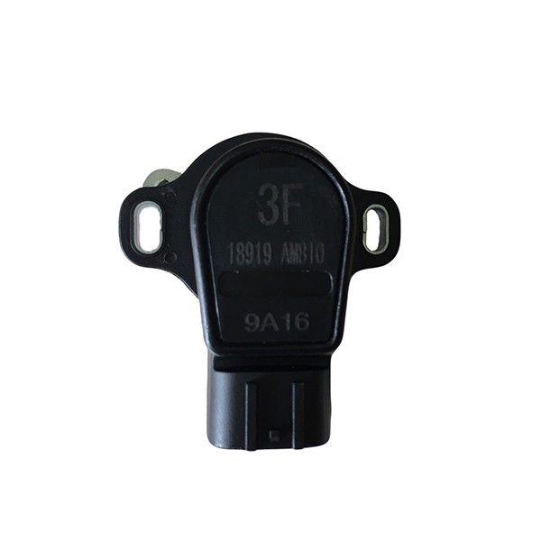Speed Limiter