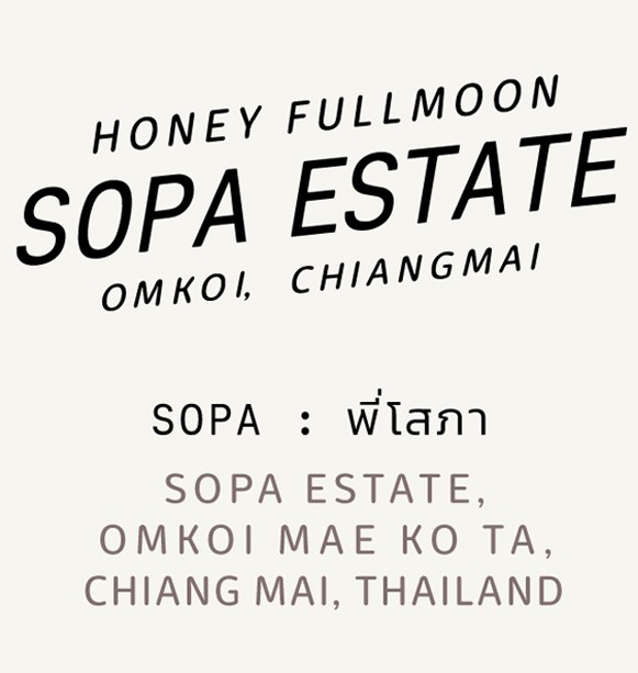 Home [www.singleoriginstore.com]