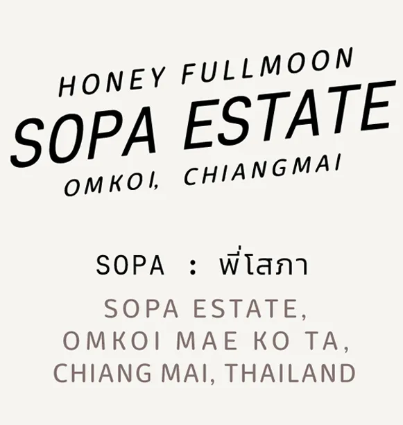 Home [www.singleoriginstore.com]