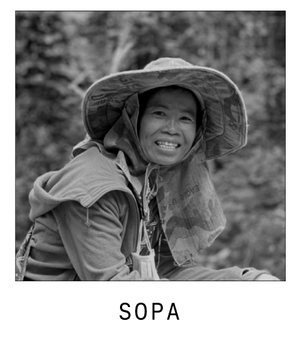 Home [www.singleoriginstore.com]