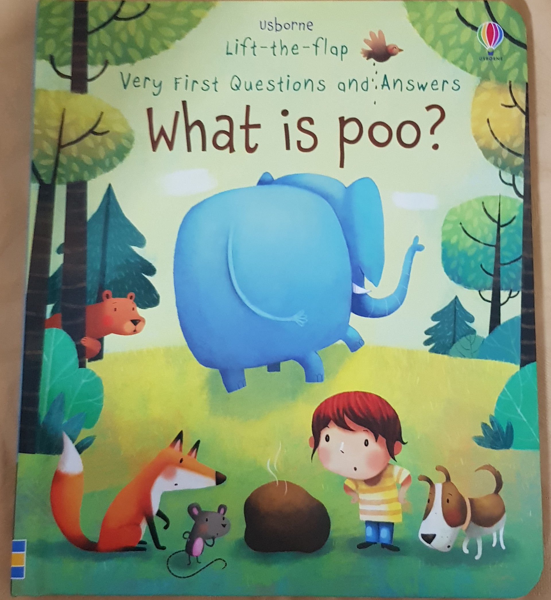 What is poo?