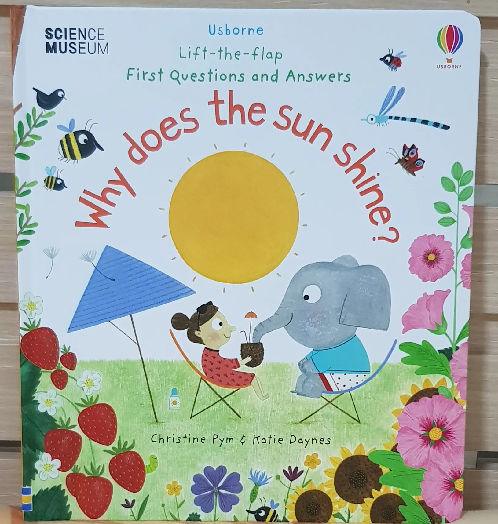 Why Does the Sun Shine? (Lift the Flap First Questions and Answers)