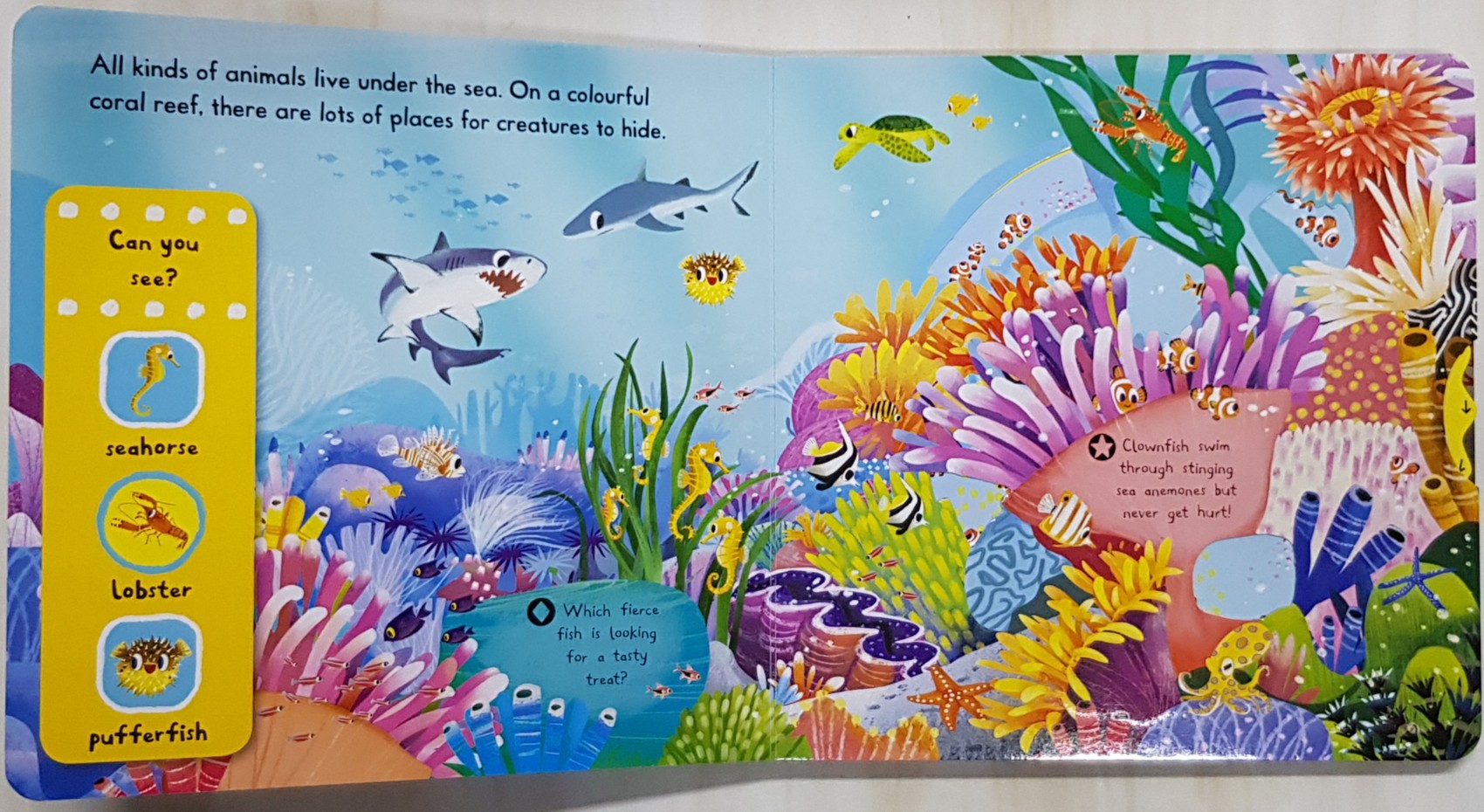 First Explorers Sea Creatures