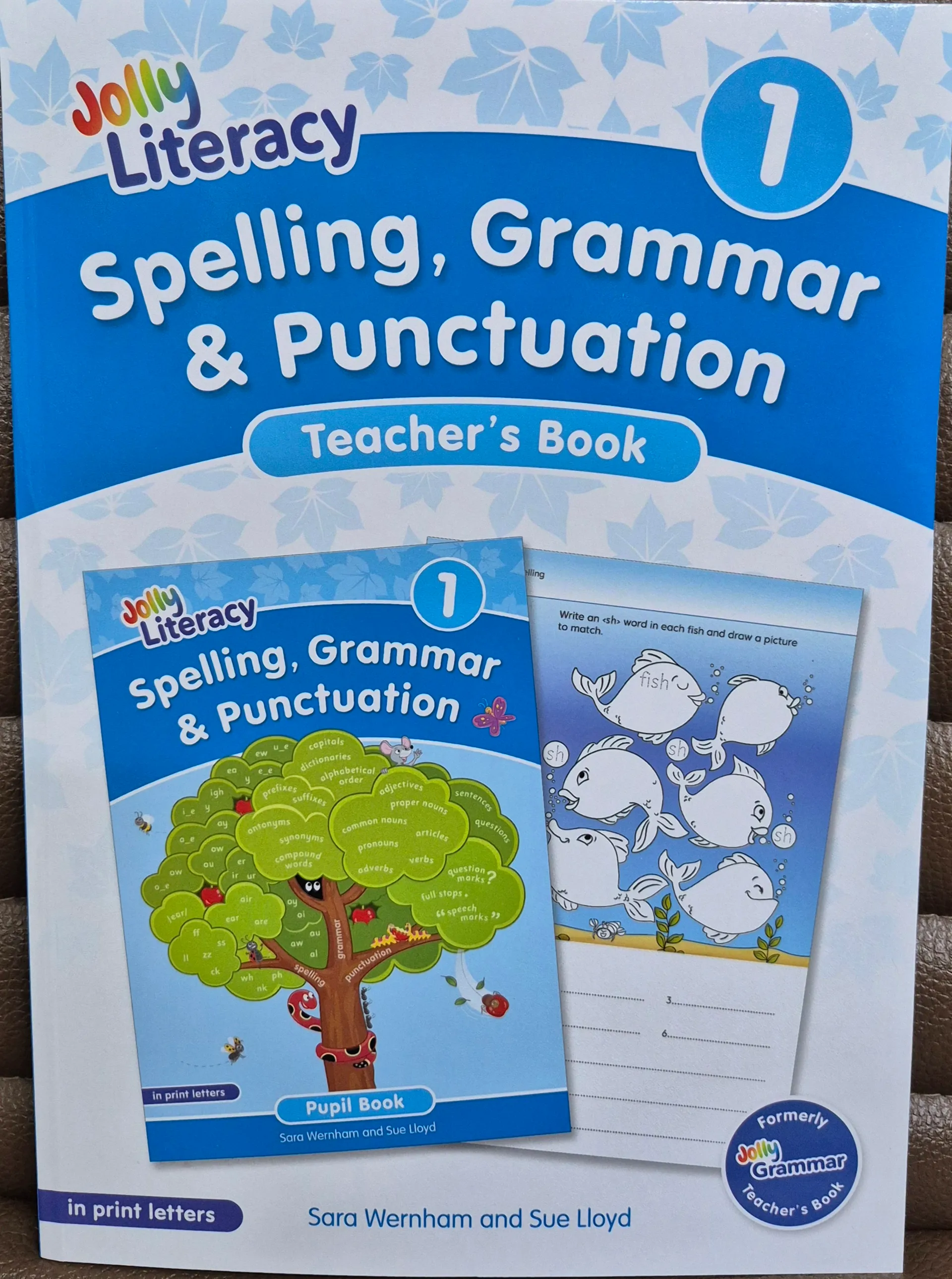 Teacher's Book 1 Spelling, Grammar and Punctuation: Jolly Literacy: