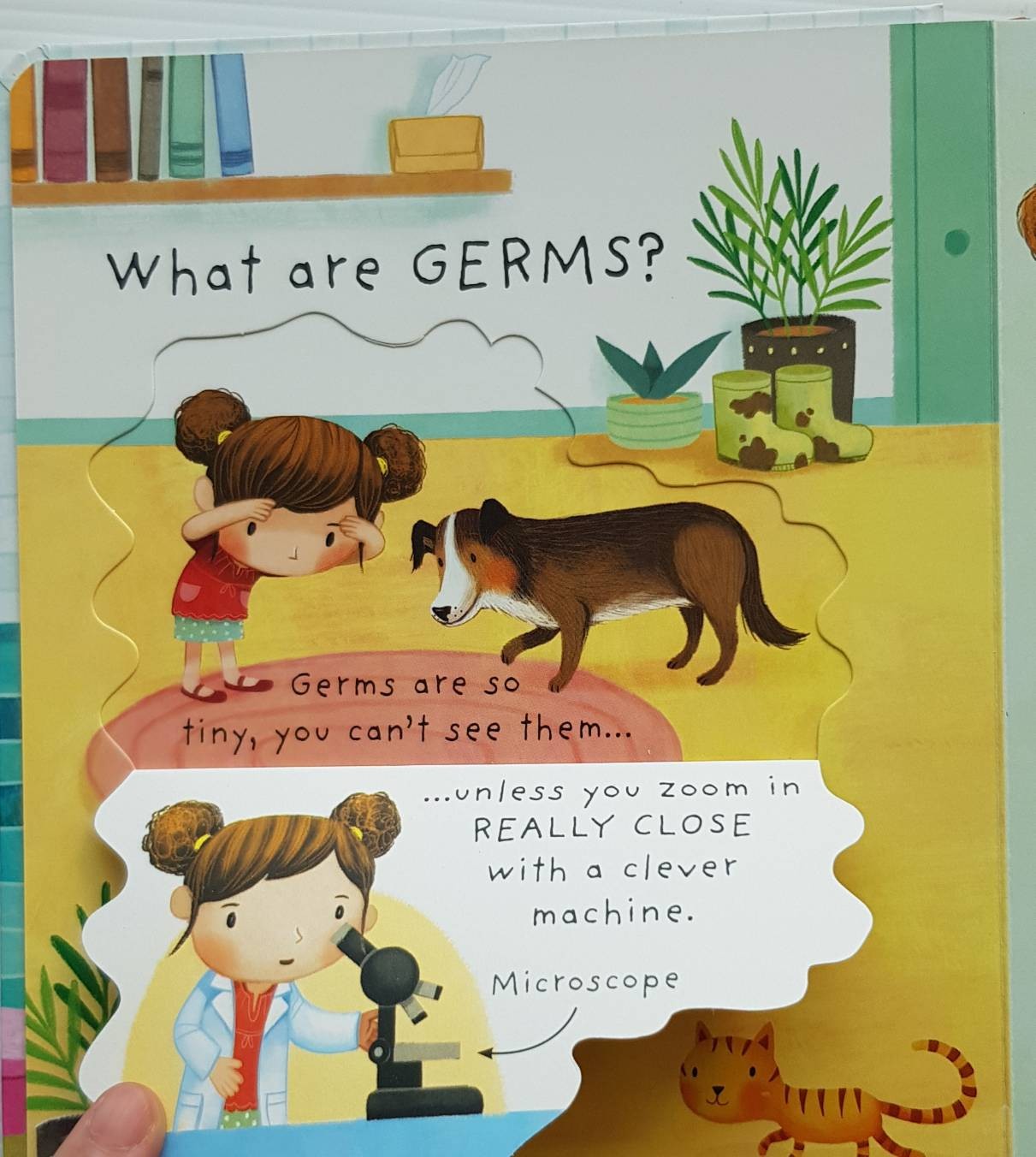 What are germs