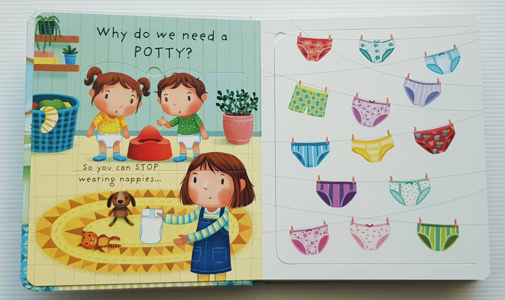 why do we need a potty?