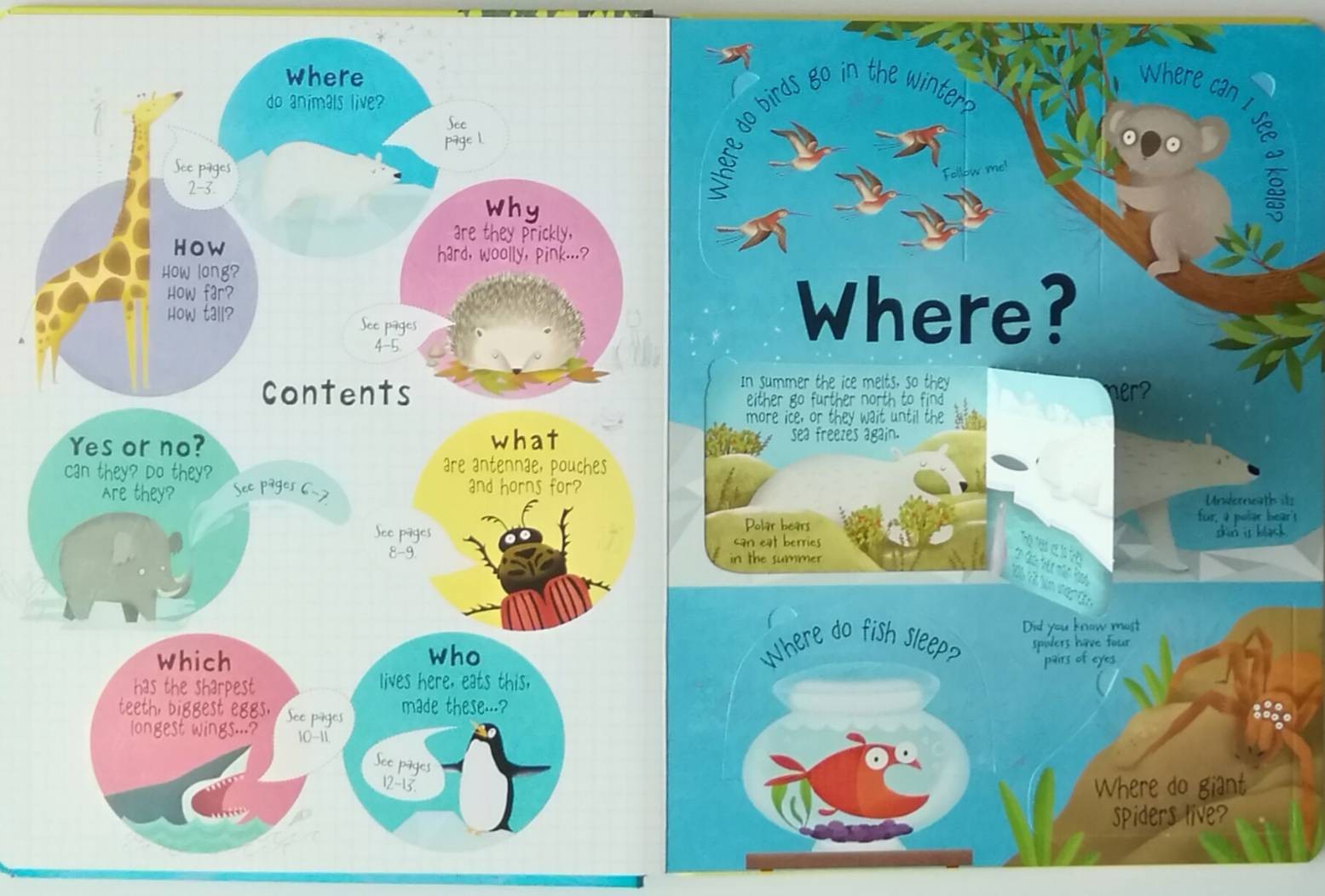 Lift the Flap Questions & Answers about Animals