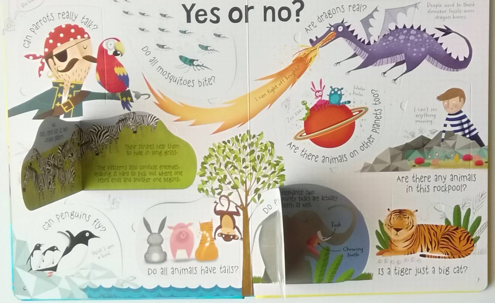 Lift the Flap Questions & Answers about Animals