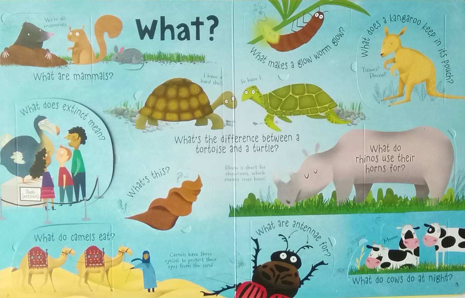 Lift the Flap Questions & Answers about Animals