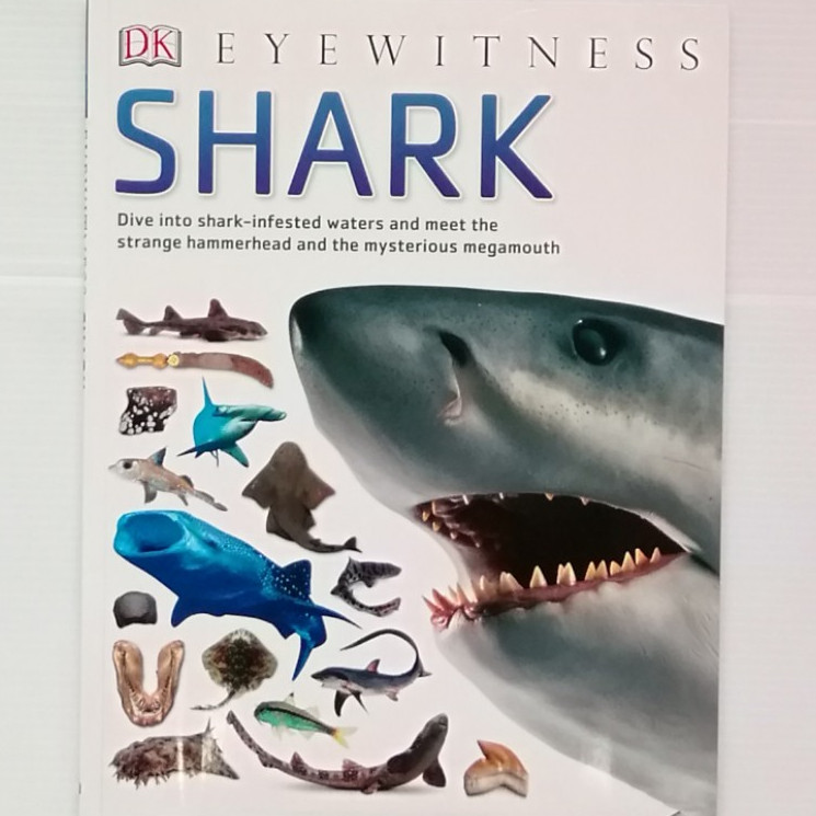 Shark(DK Eyewitness)