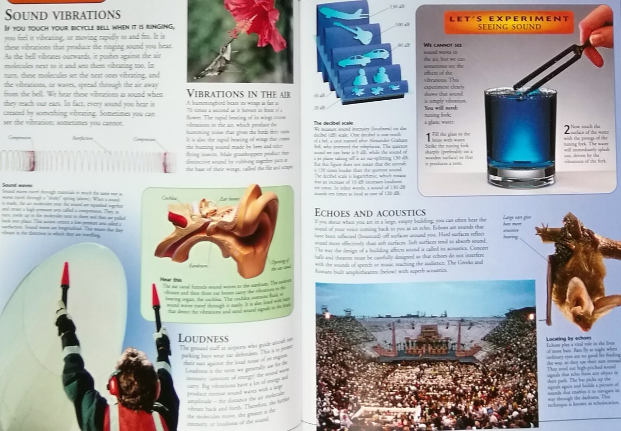 The Way Science Works