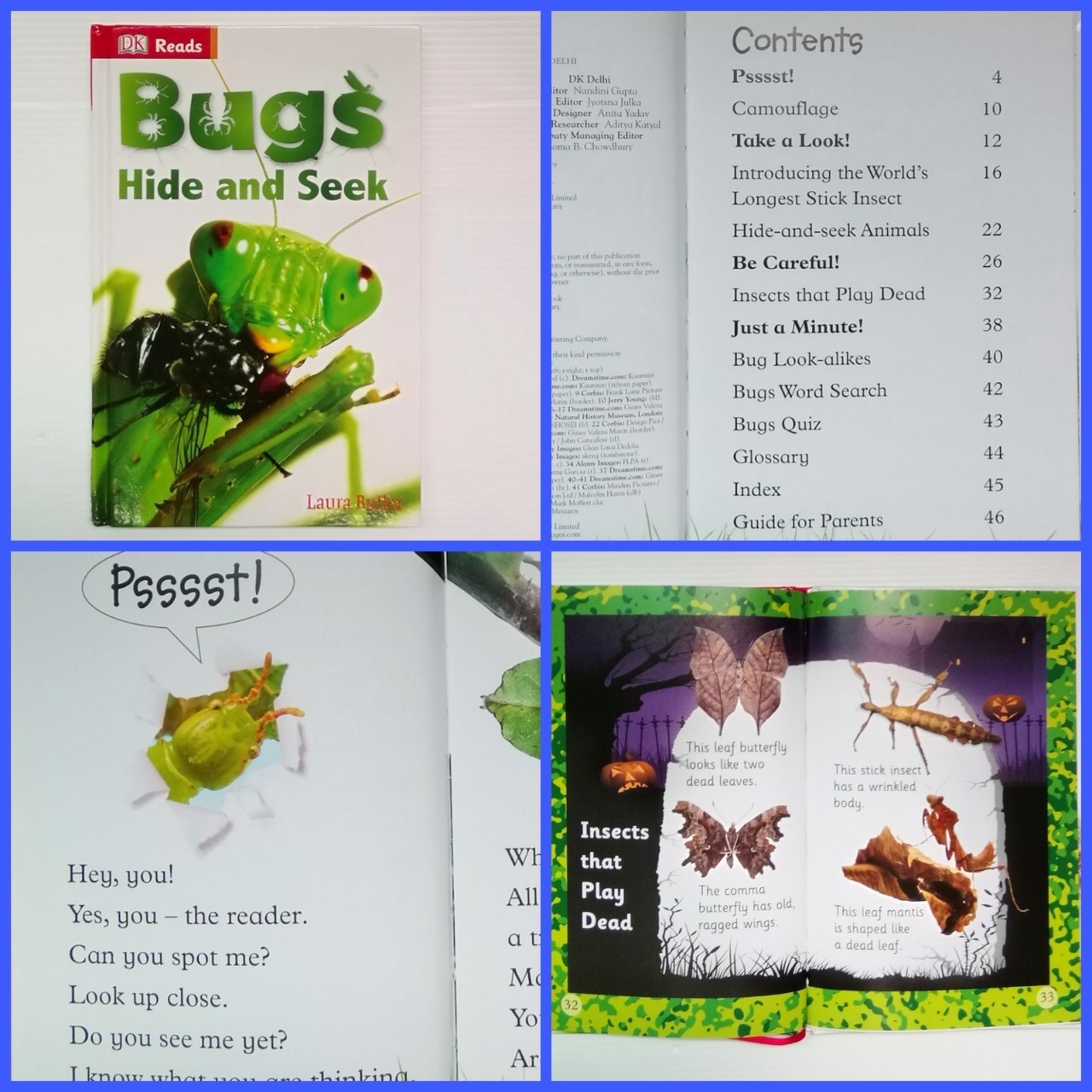 Bugs Hide and Seek (DK Reads Beginning To Read)