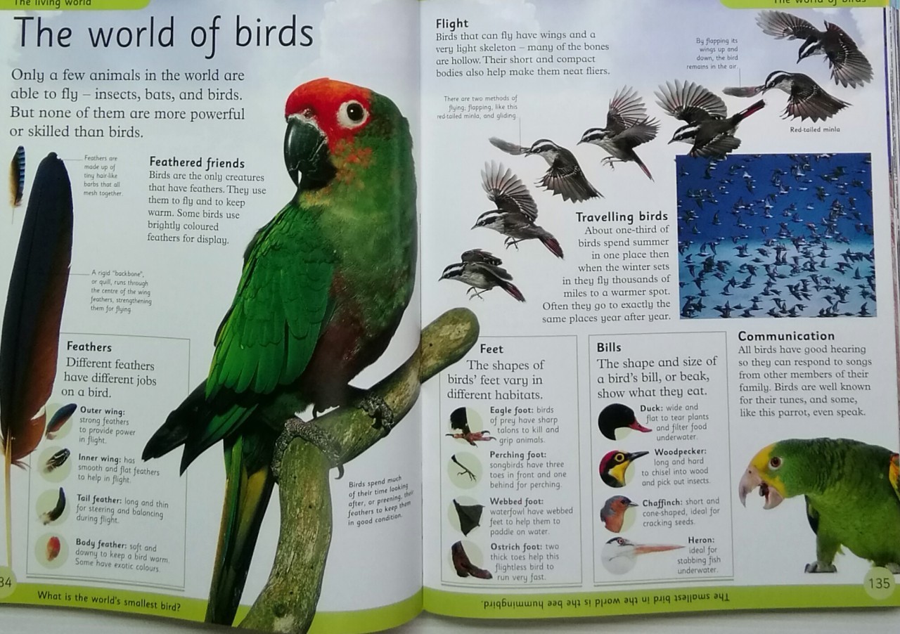 First Children's Encyclopedia