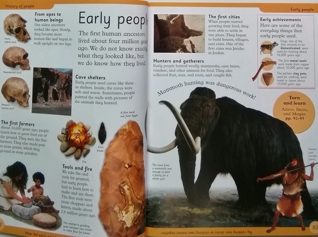 First Children's Encyclopedia